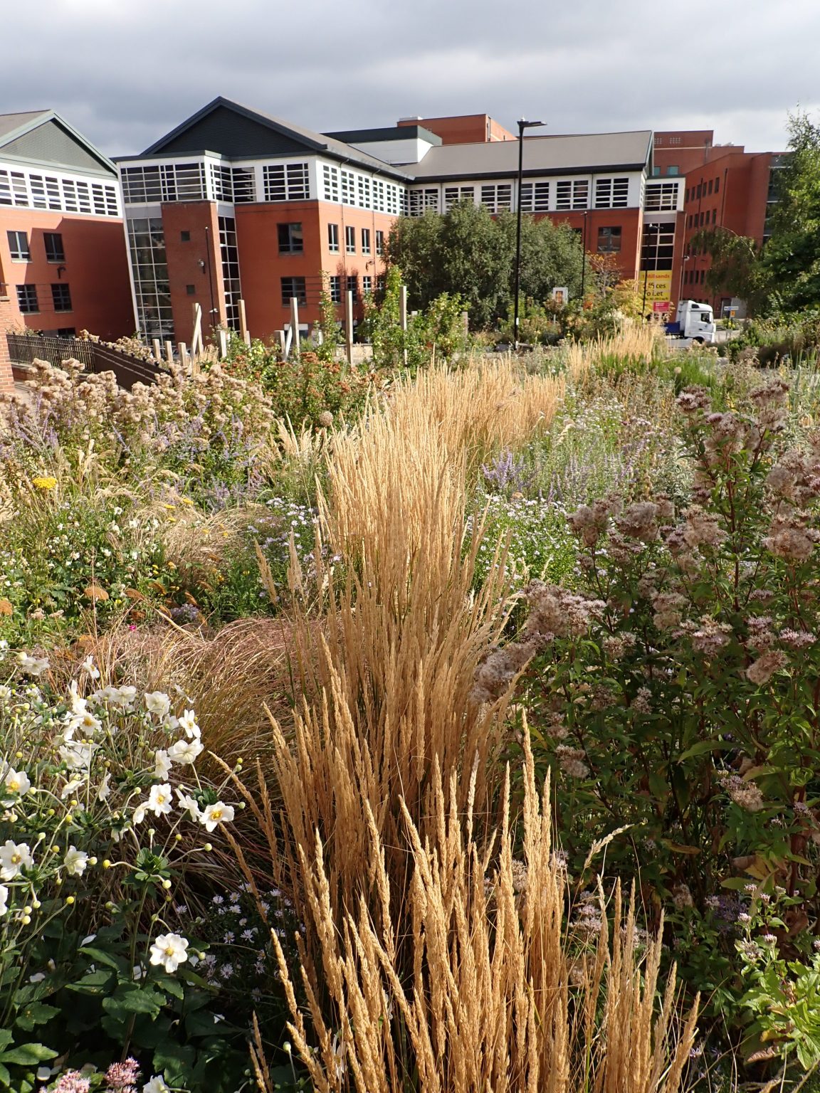 SuDS Management Trains for Water Quality: some practical examples - ADS ...