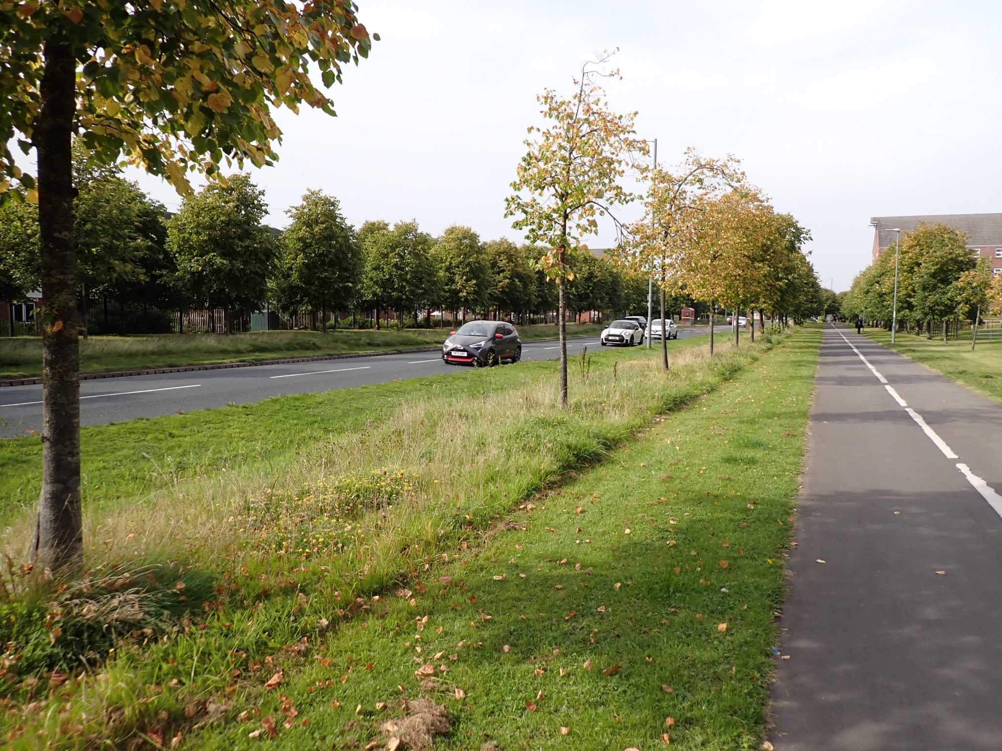 SuDS Management Trains for Water Quality: some practical examples - ADS ...